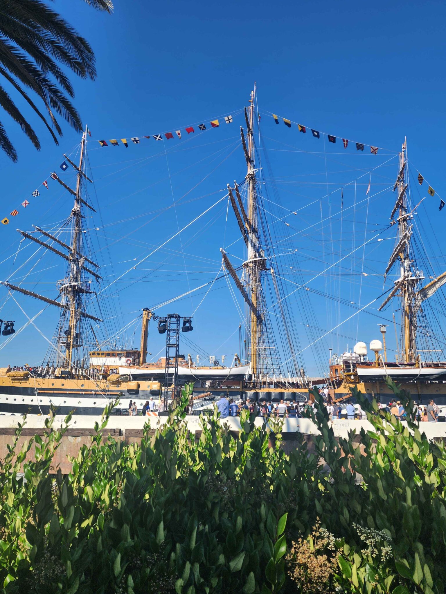 My Life @ Riddle | Daytona Beach Edition